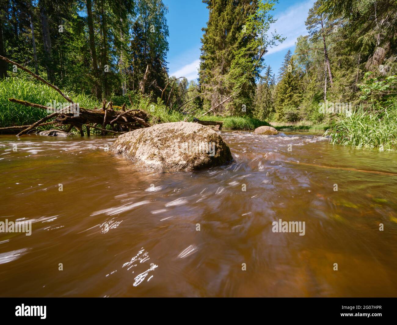 calm forest smal lriver with small waterfall from natural rocks. water ...