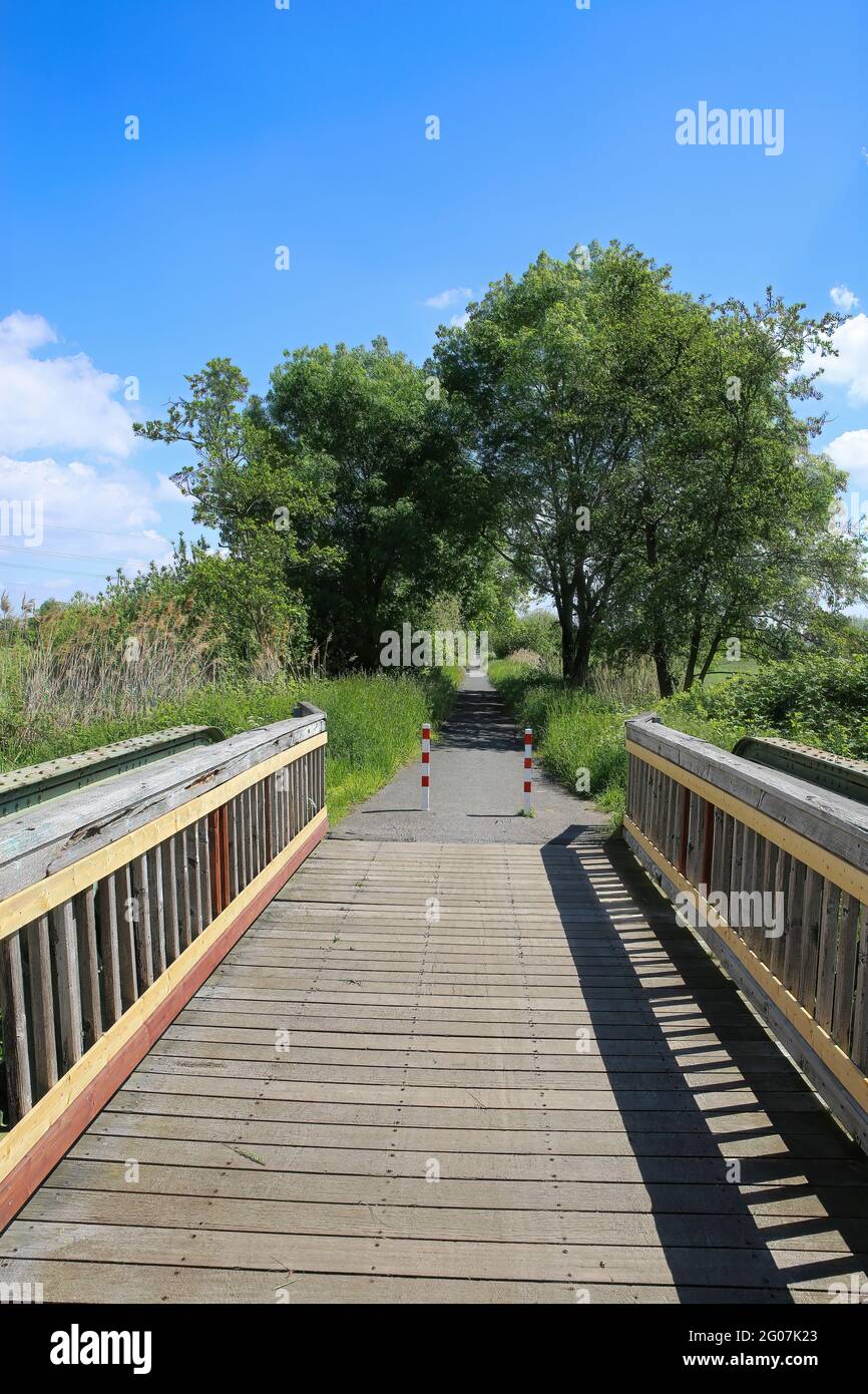 Landscape Timber Bridge