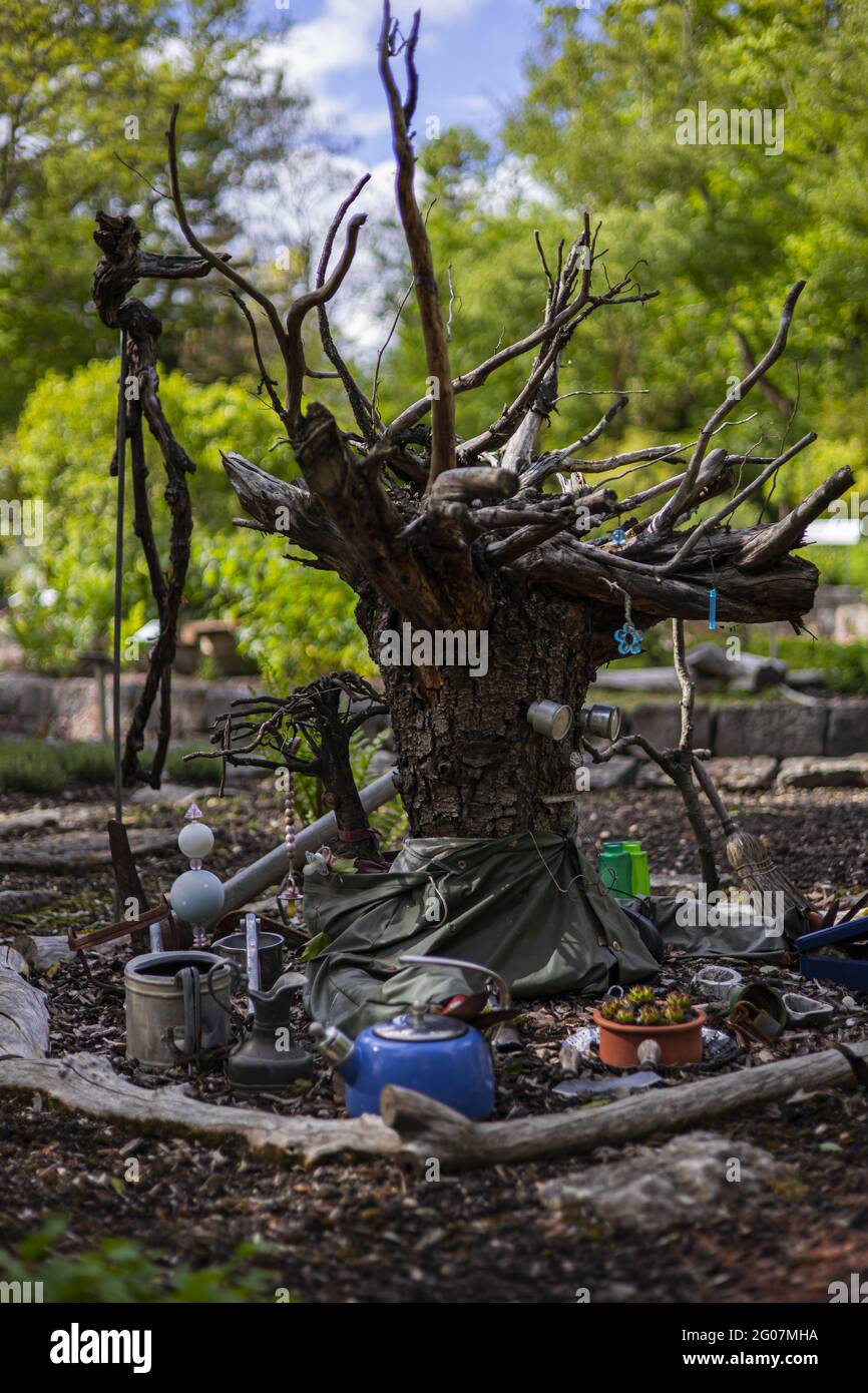 Vertical shot of an old tree trunk with hangers Stock Photo - Alamy