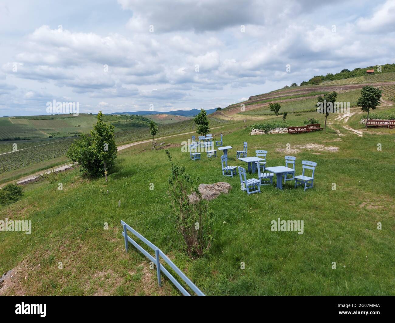 Plants and rural areas outdoors in the countryside in summer hi-res ...