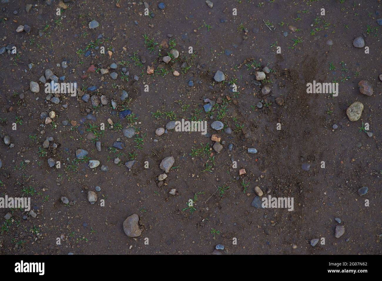 Brown texture of wet earth and stones Stock Photo - Alamy