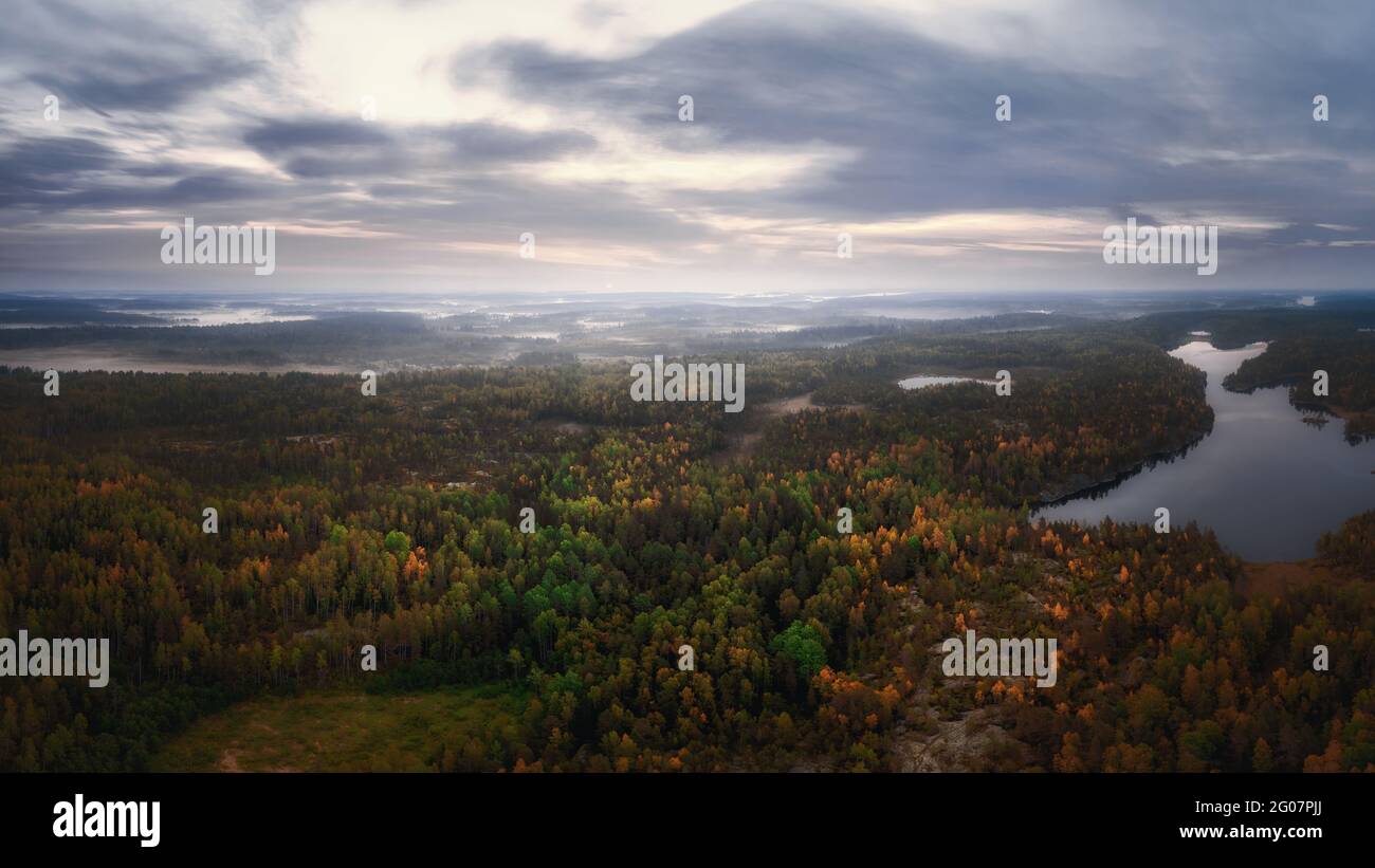 Morning fog over deep wild forest at sunrise. Aerial panoramic ...