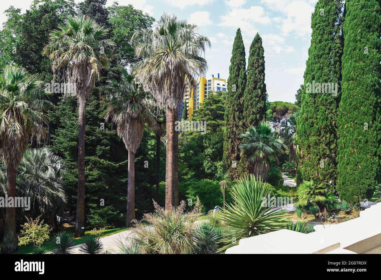 Sochi, Russia, July 27, 2019: the best resort in the south of russia ...