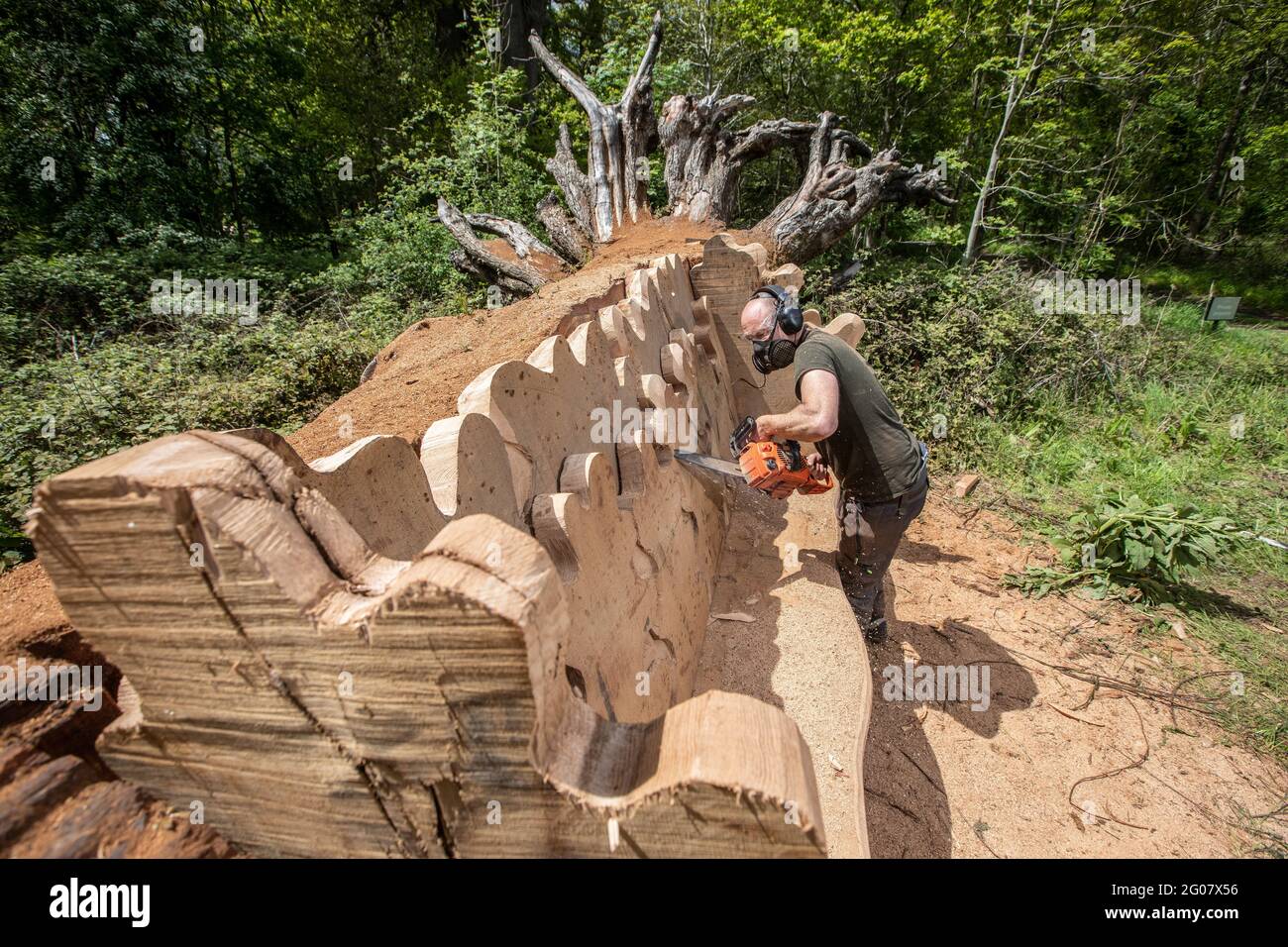 Matt Crabb, national chainsaw carving champion sculpting a bench out of ...
