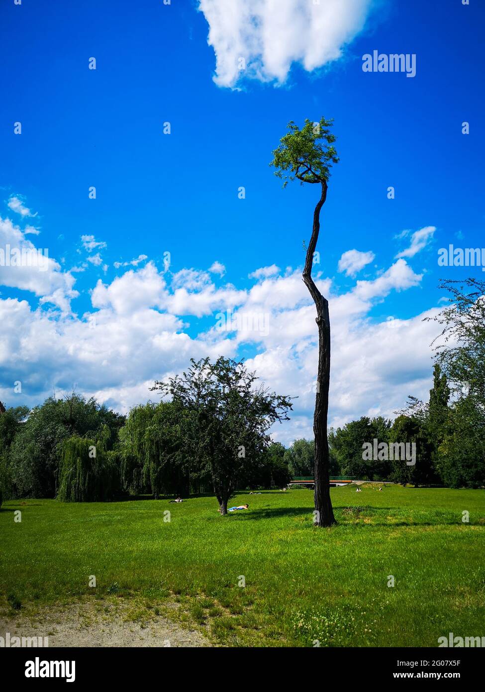 High thin hi-res stock photography and images - Alamy
