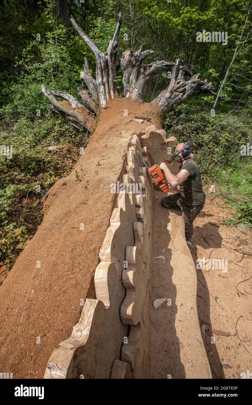 Matt Crabb, national chainsaw carving champion sculpting a bench out of ...