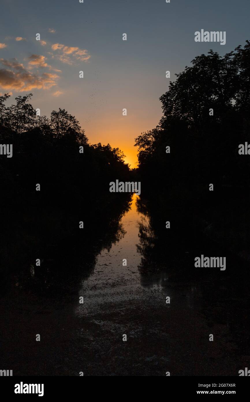 Gold sun between trees hi-res stock photography and images - Alamy