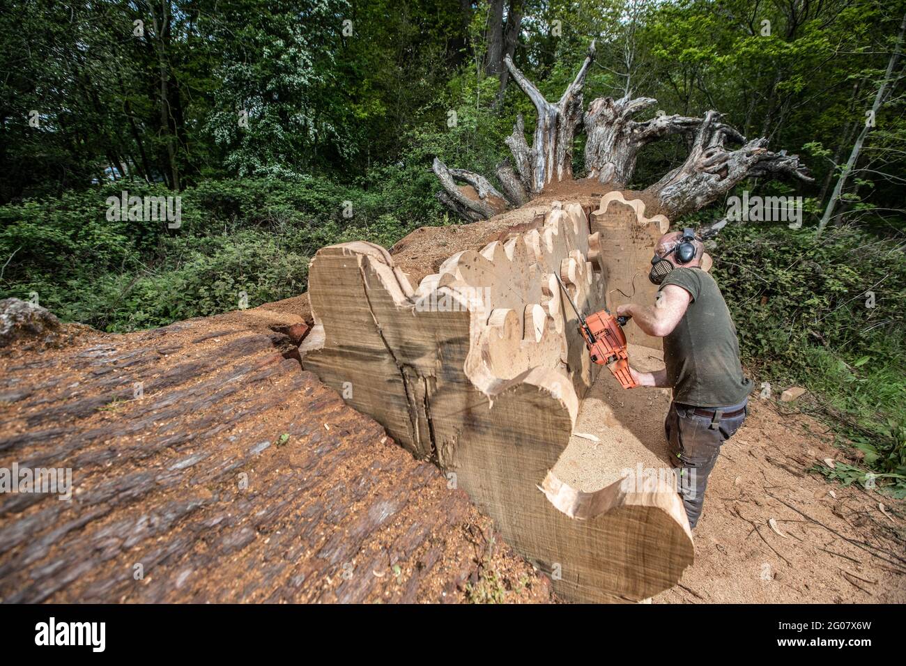 Matt Crabb, national chainsaw carving champion sculpting a bench out of ...