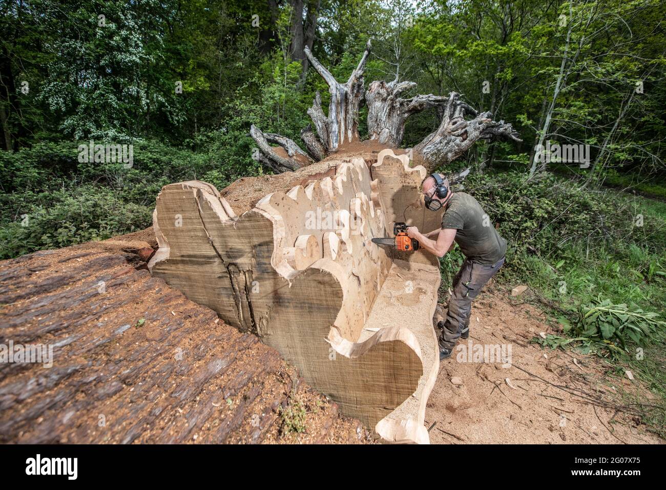 Matt Crabb, national chainsaw carving champion sculpting a bench out of ...