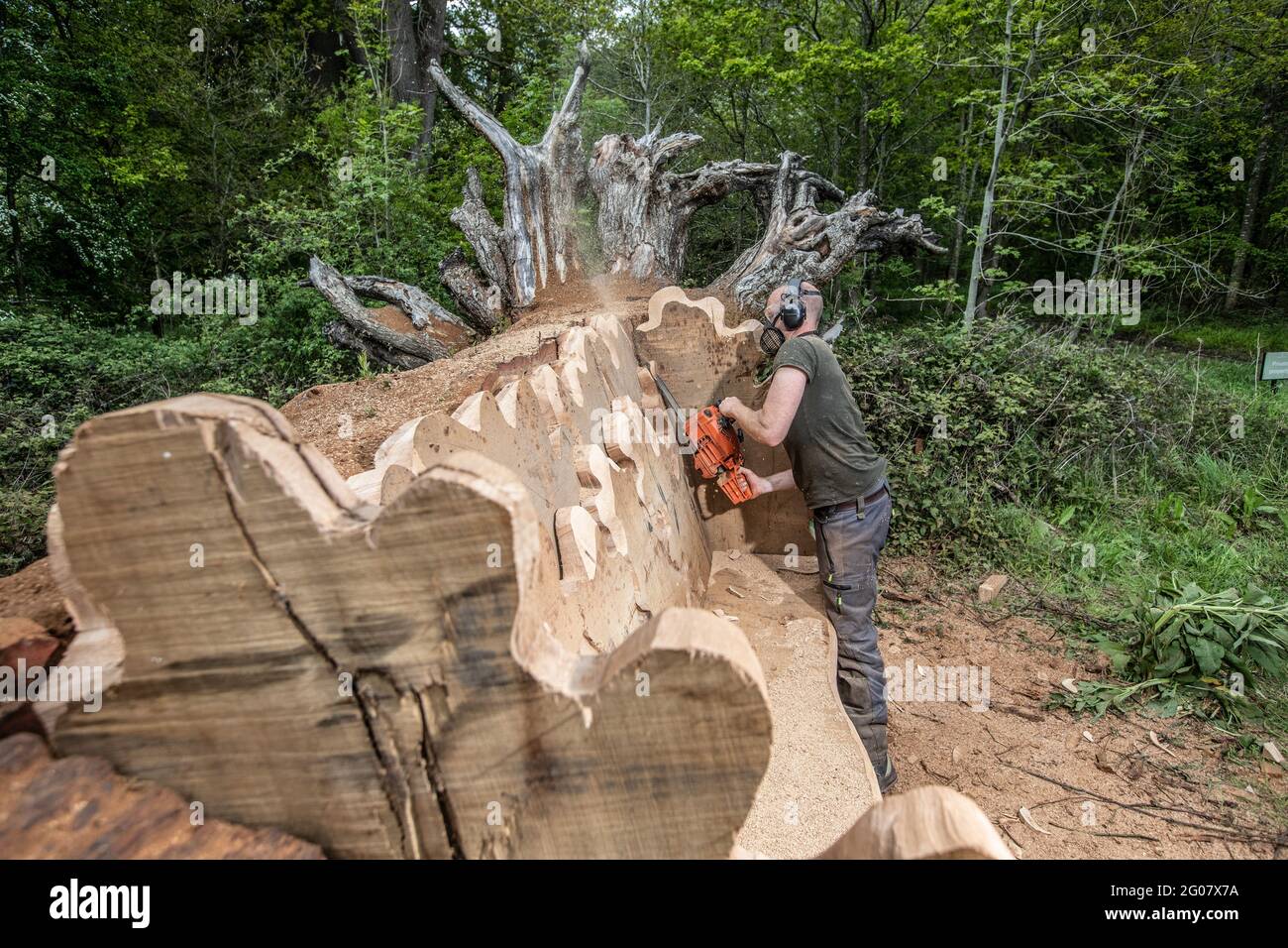 Matt Crabb, national chainsaw carving champion sculpting a bench out of ...