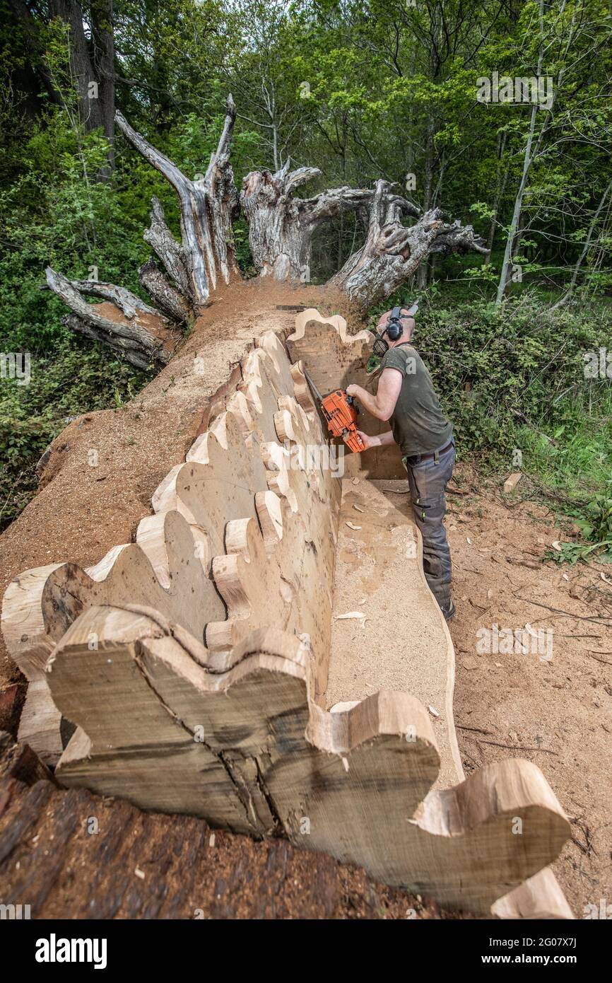Matt Crabb, national chainsaw carving champion sculpting a bench out of ...