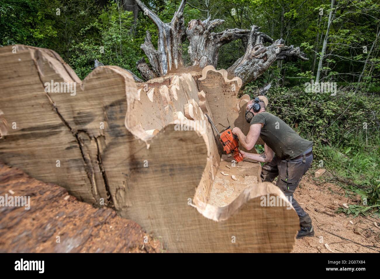 Matt Crabb, national chainsaw carving champion sculpting a bench out of ...