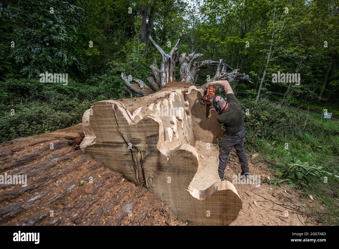 Matt Crabb, national chainsaw carving champion sculpting a bench out of ...