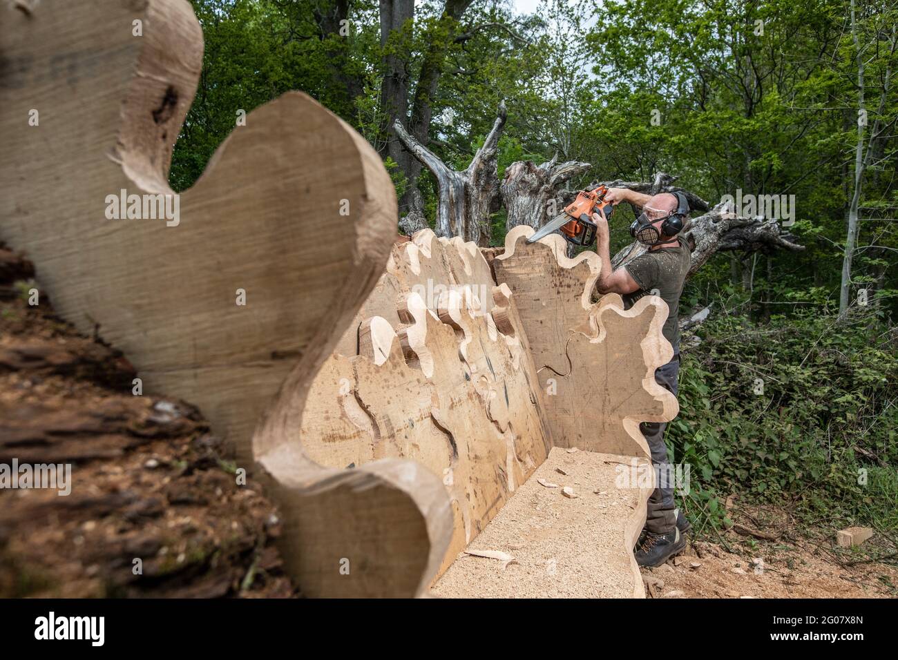 Matt Crabb, national chainsaw carving champion sculpting a bench out of ...