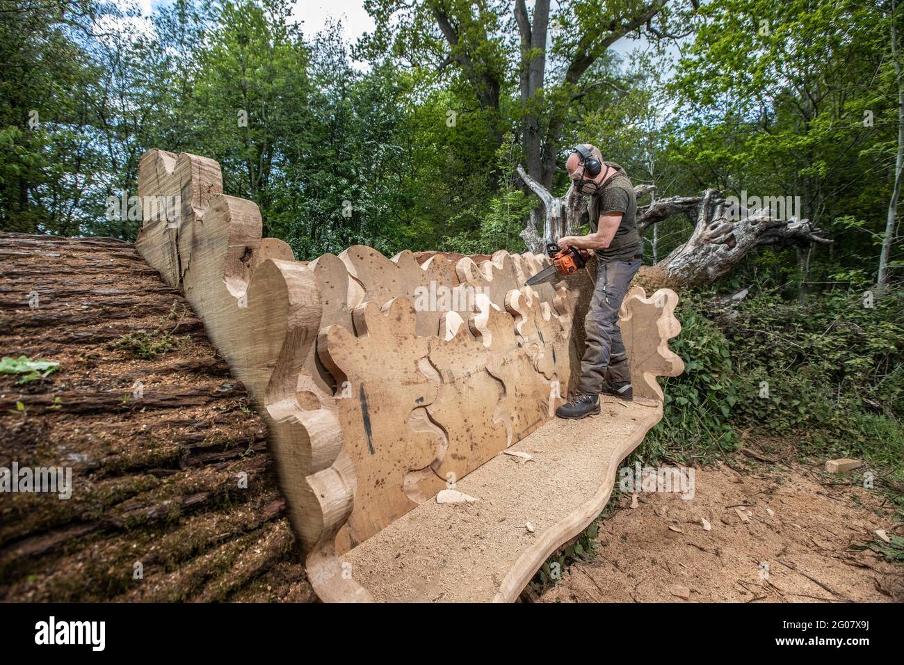 Matt Crabb, national chainsaw carving champion sculpting a bench out of ...