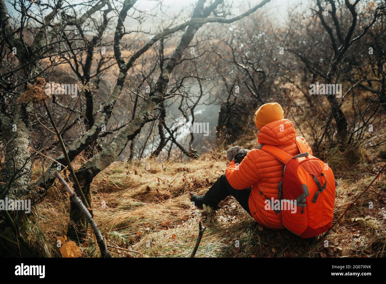 Full body back view of determined young female sprinter starting to run ...
