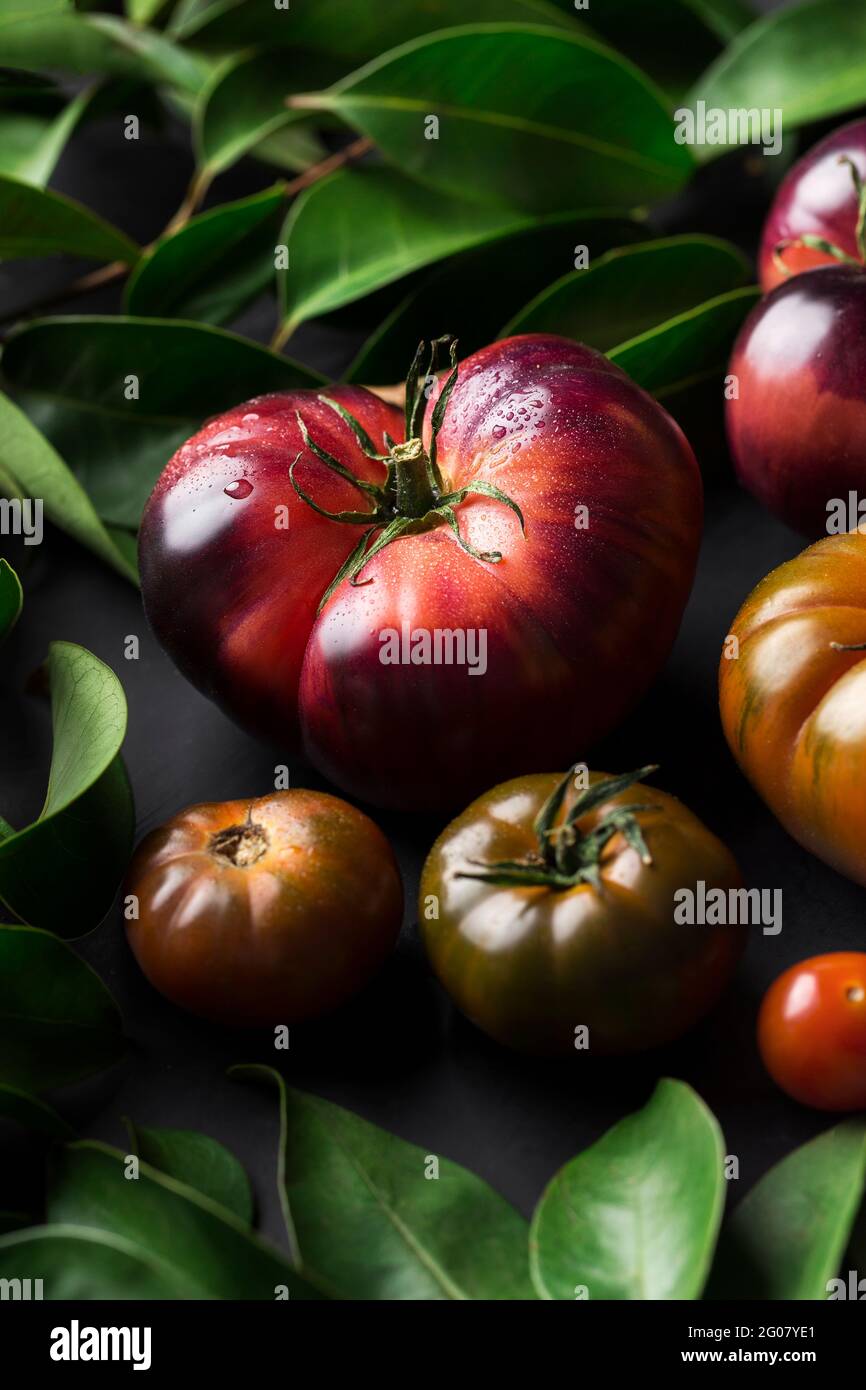 From above different fresh tomatoes on a black table Stock Photo - Alamy