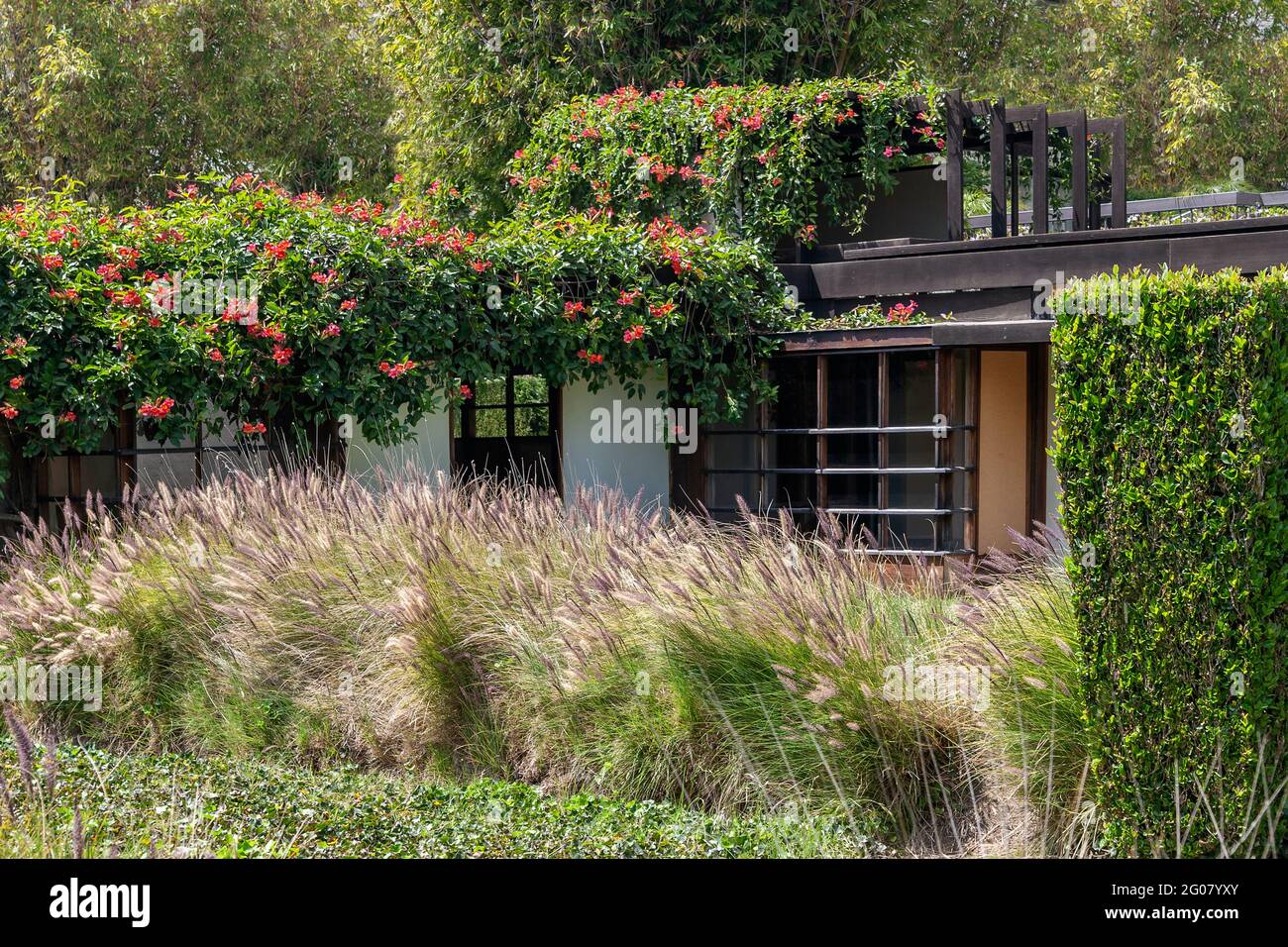 Schindler house hi-res stock photography and images - Alamy