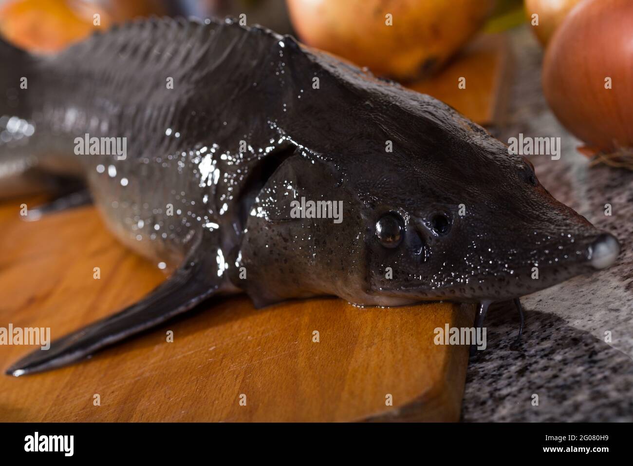 Fresh sturgeon hi-res stock photography and images - Alamy