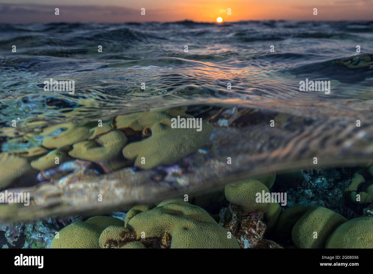 Cloudy sunset sky over waving clean water and colorful coral reef in ...