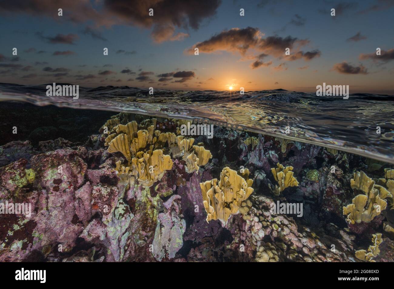 Aruba storm hi-res stock photography and images - Alamy