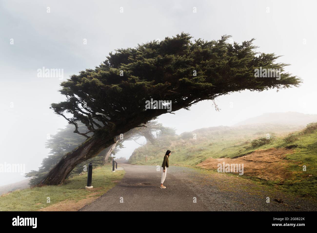 Slanted stand hi-res stock photography and images - Alamy