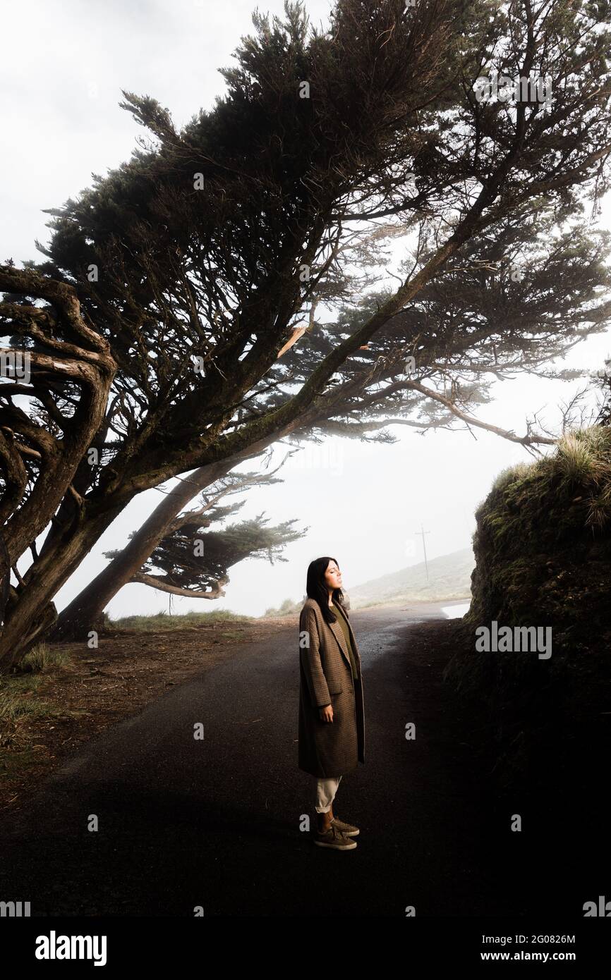 Female standing on paved road under amazing slanted cypress tree in ...