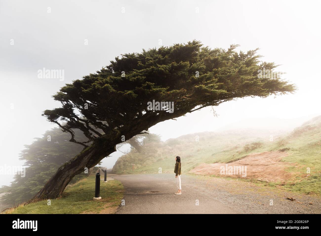 Slanted road hi-res stock photography and images - Alamy