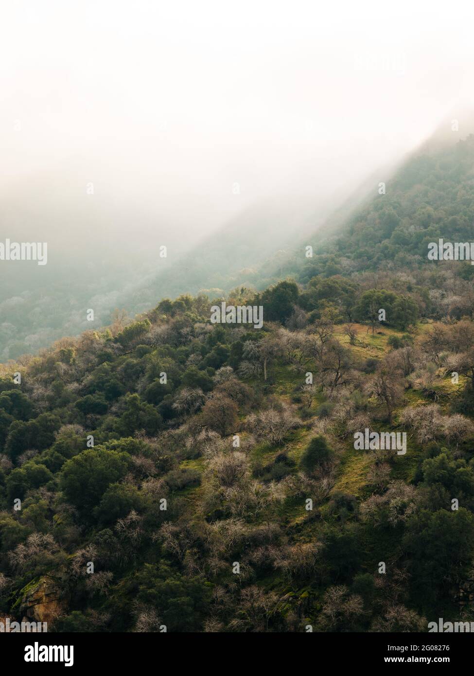 Aerial view sequoia national park hi-res stock photography and images ...