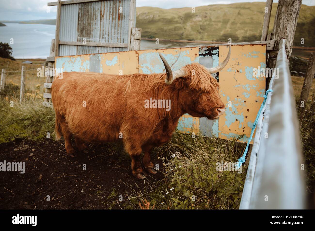 Corral enclosure hi-res stock photography and images - Alamy
