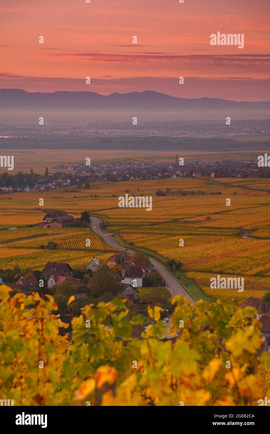 Plain of alsace hi-res stock photography and images - Alamy