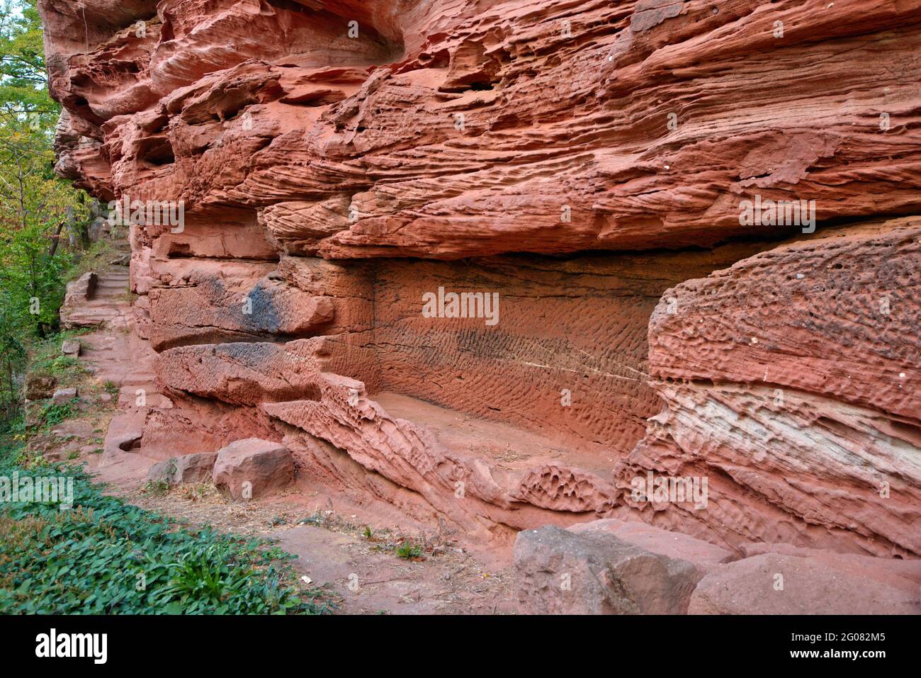 FRANCE, BAS-RHIN (67), VOSGES DU NORD REGIONAL NATURAL PARK, DAMBACH ...