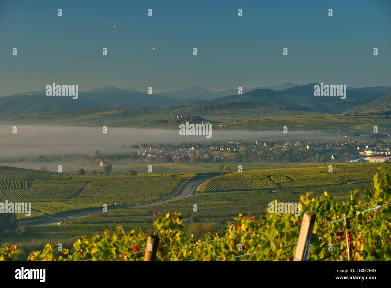 FRANCE, HAUT-RHIN (68), ALSACE WINE ROUTE LANDSCAPE IN AUTUMN WITH ...