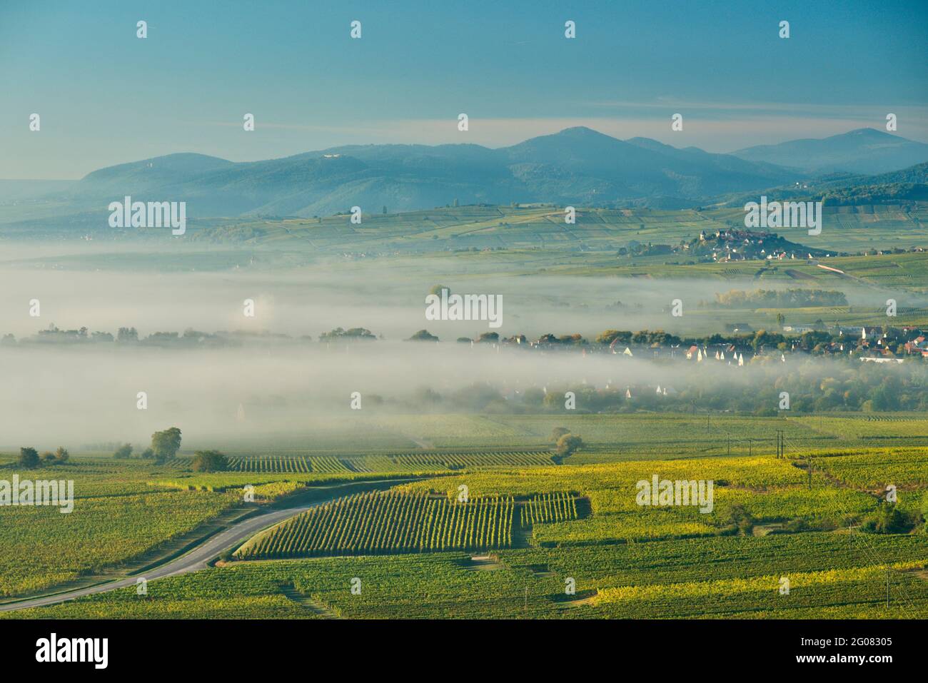 The rhine valley in the autumn mist hi-res stock photography and images ...