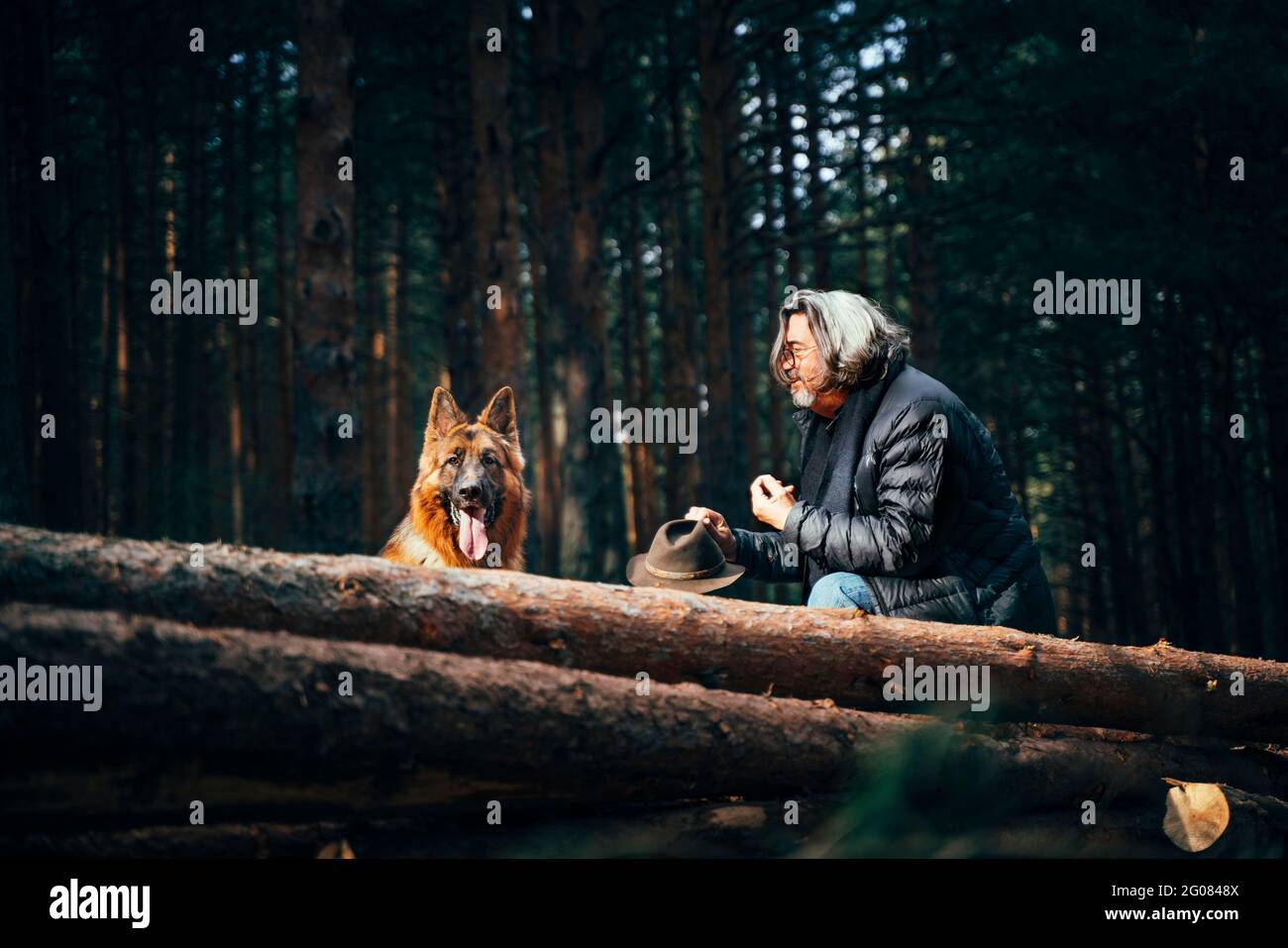 Side view of man sitting in a tree trunk near coniferous trees with ...