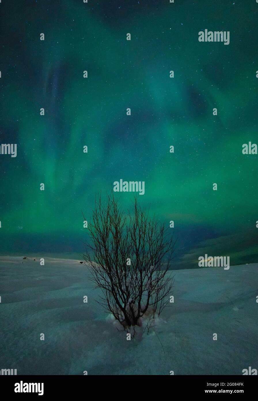 Breathtaking view of bright night sky with magnificent polar lights ...