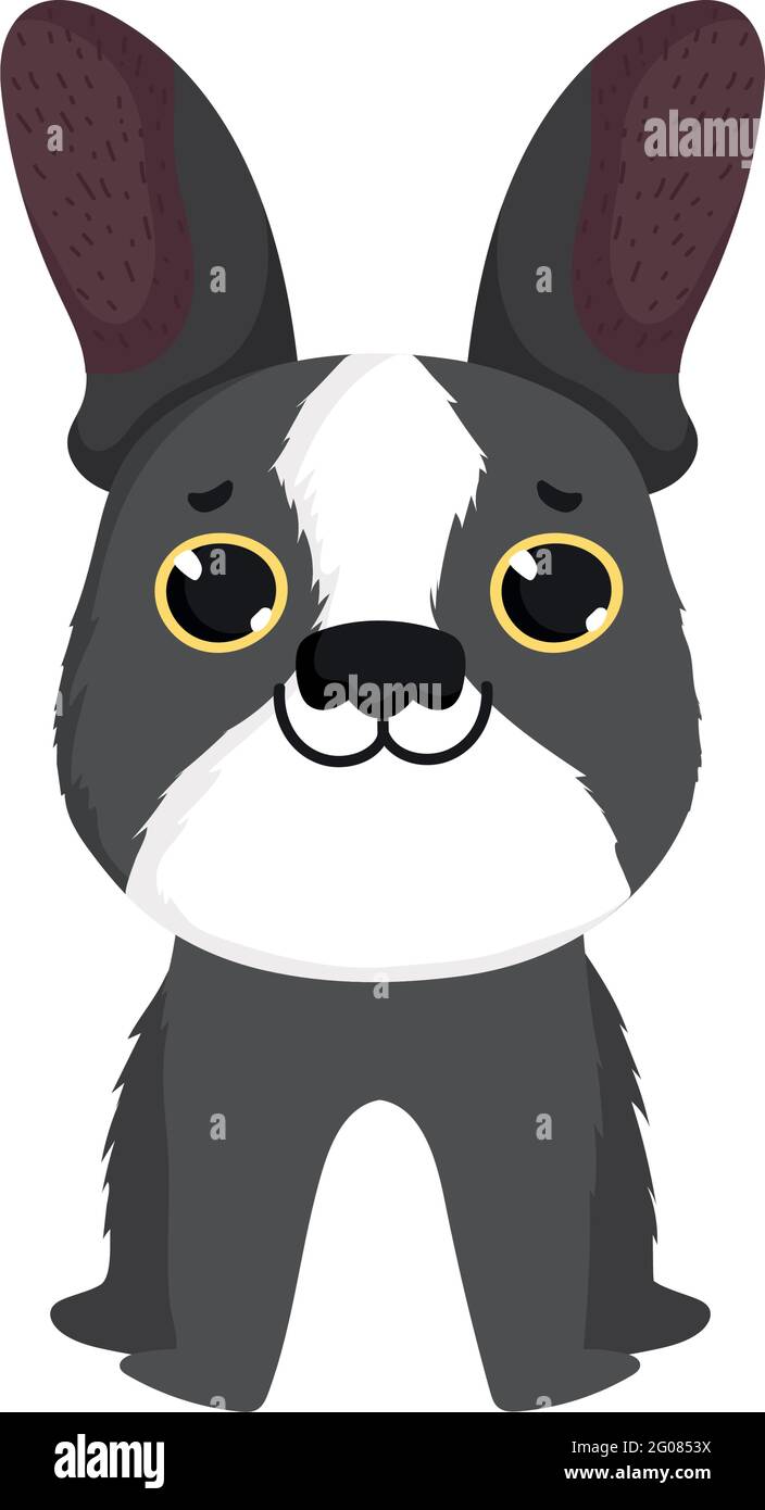 Little french bulldog dog Stock Vector Images - Alamy