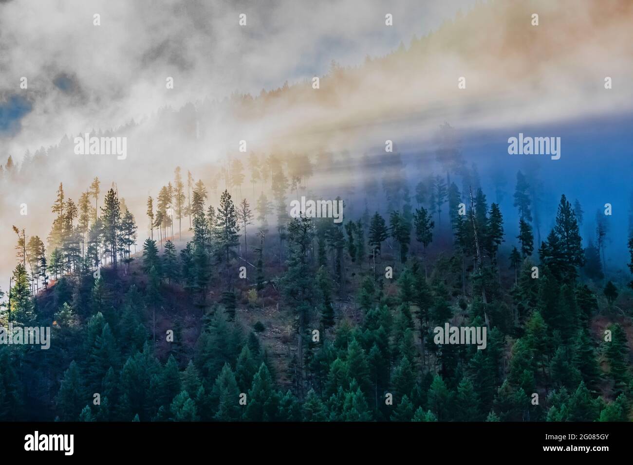 Vast forest with foggy clouds in the mountains viewed from Interstate ...