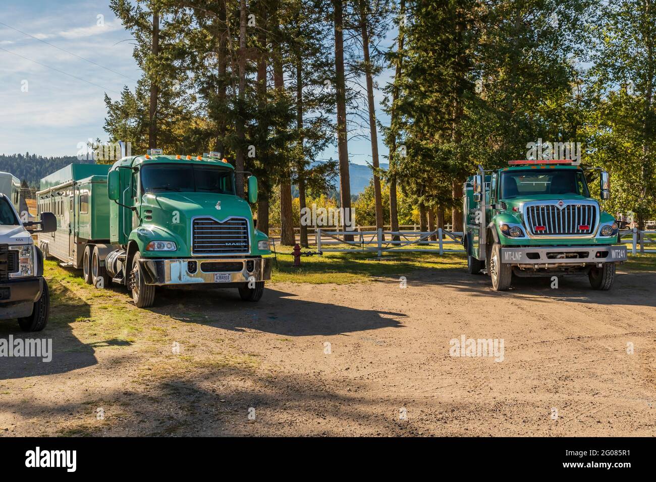 Forest Service tanker truck and pack mules transport at Ninemile Ranger ...