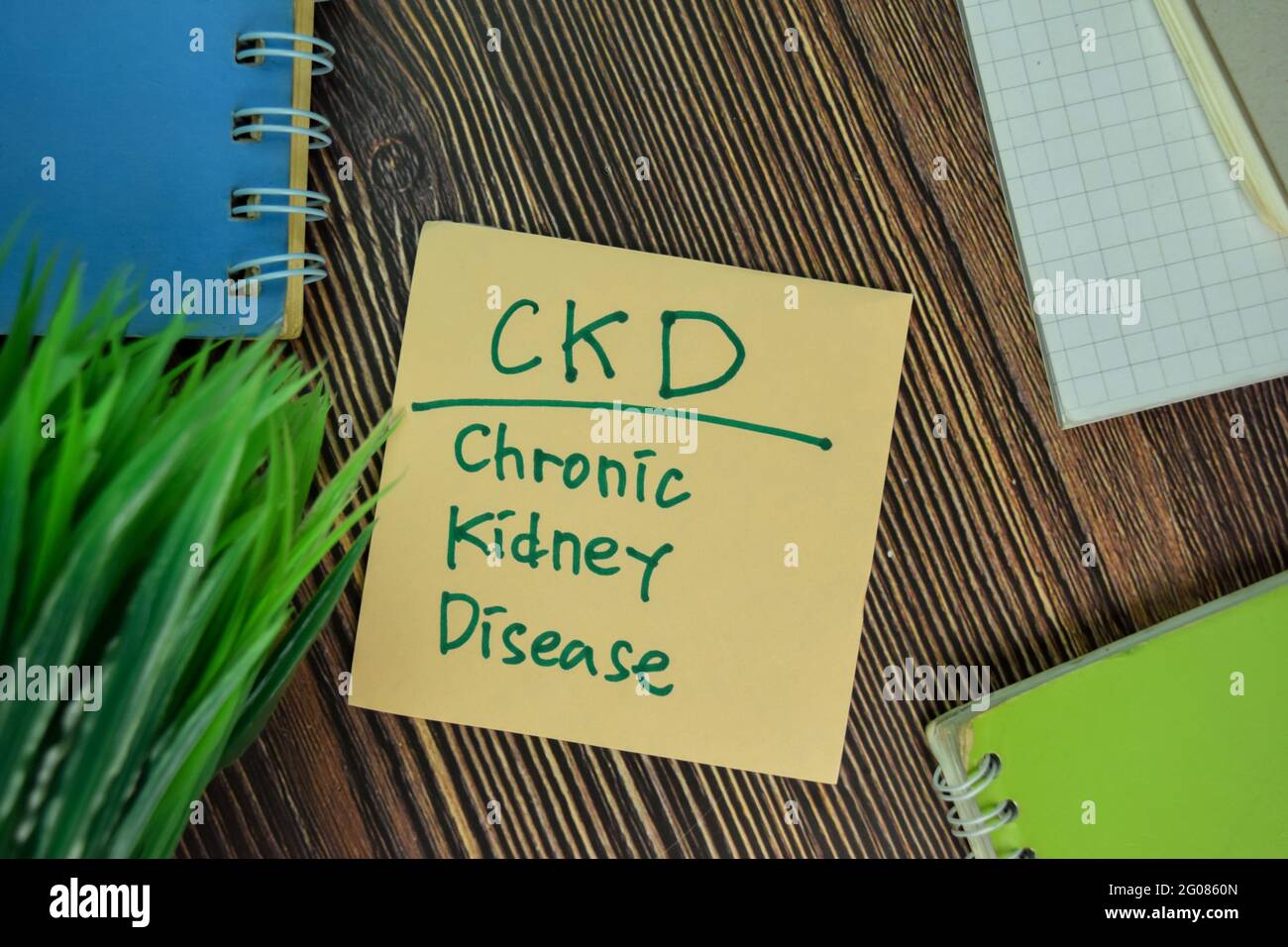 Kidneys book illustration hi-res stock photography and images - Alamy