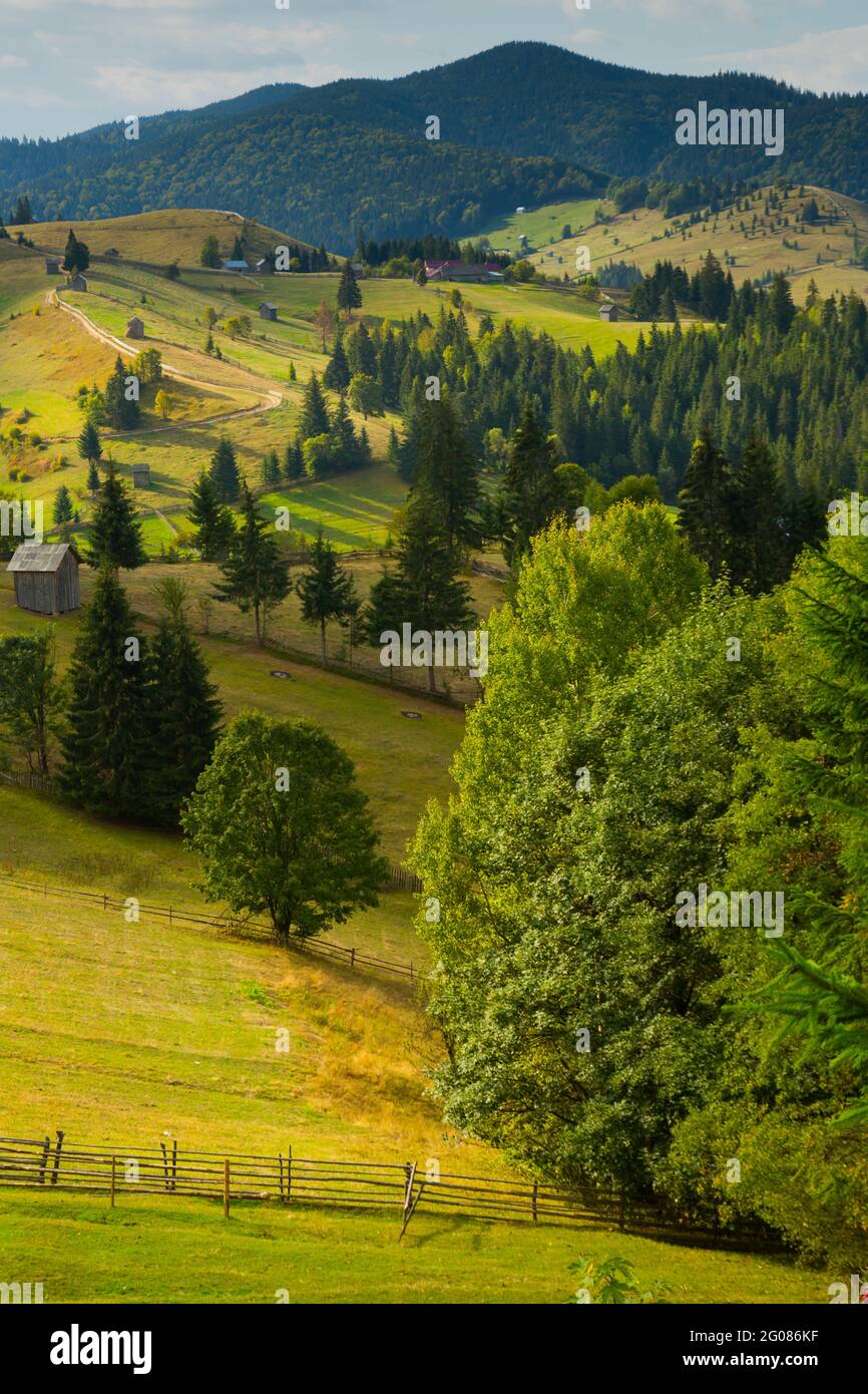 Image of Karpaty mountains Stock Photo - Alamy