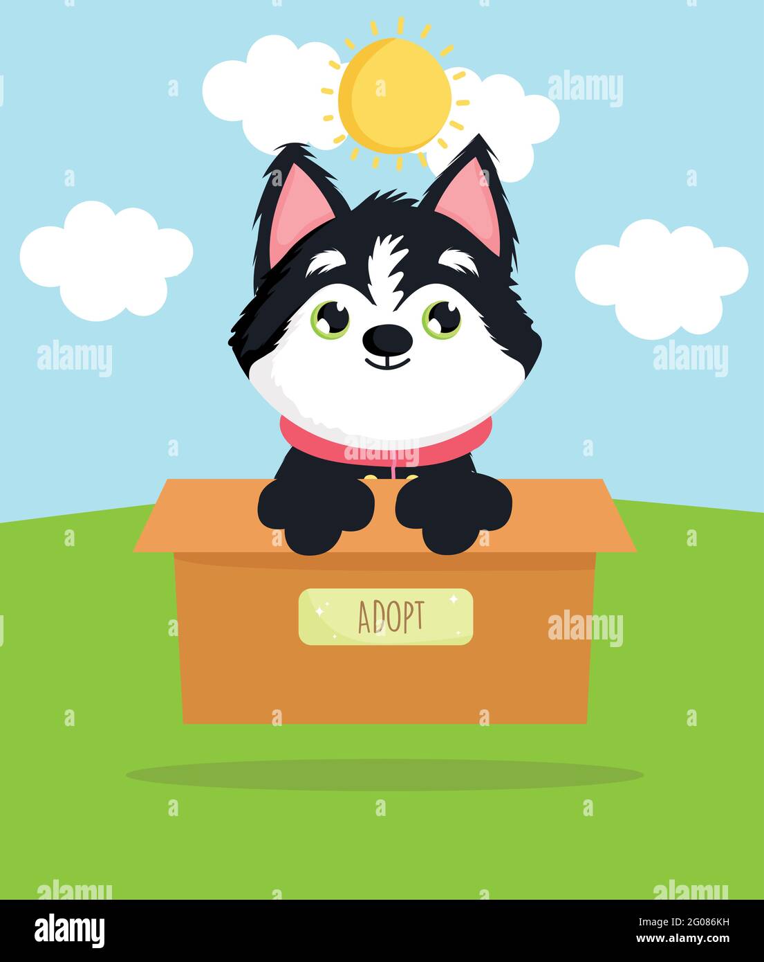 siberian dog on box Stock Vector Image & Art - Alamy