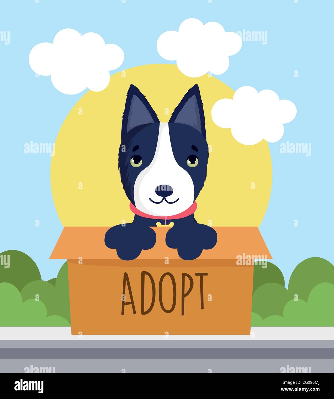 adoption bull terrier dog Stock Vector Image & Art - Alamy