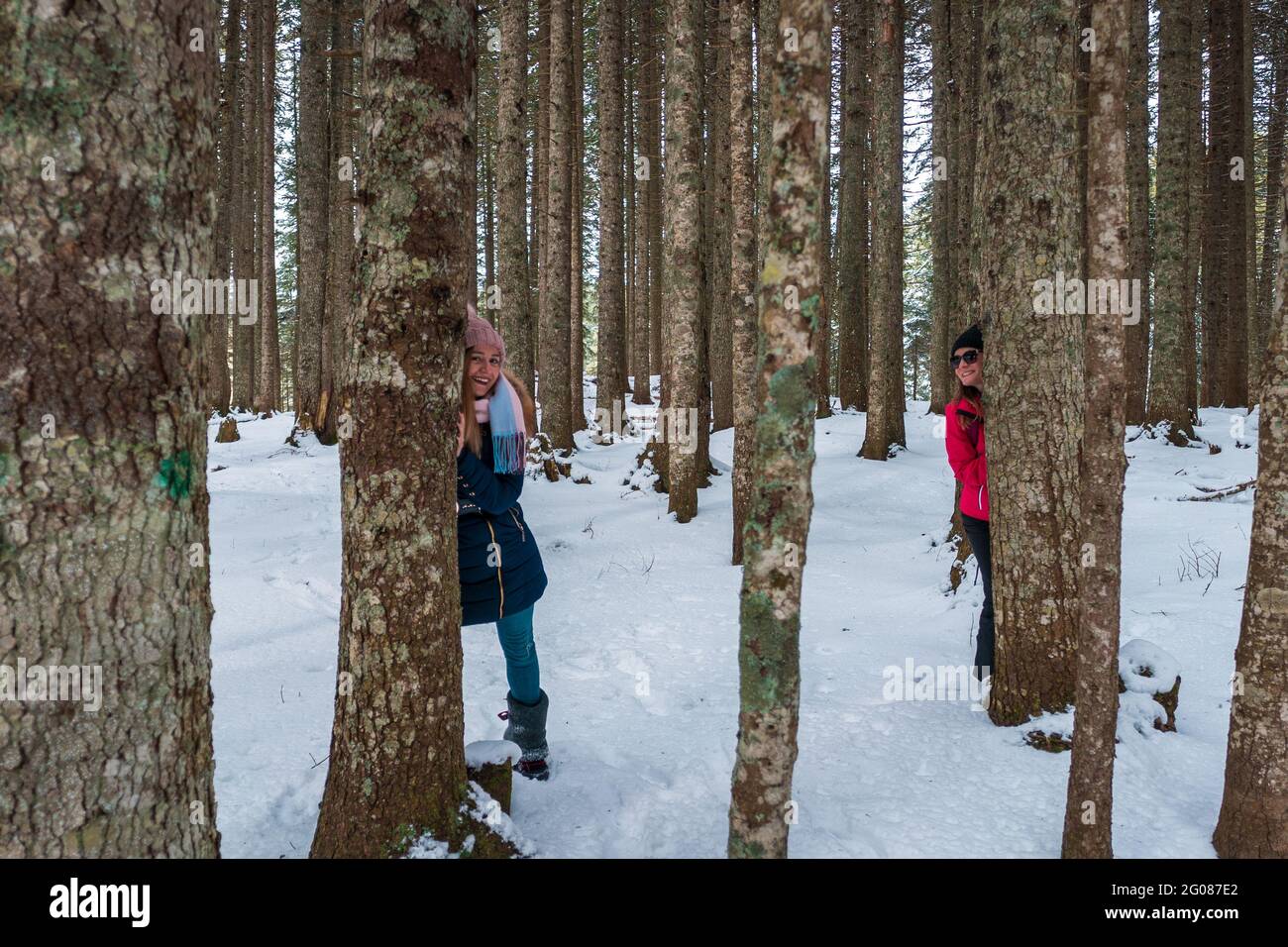 Two girl friends hiding behind trees in a forest during winter Stock ...