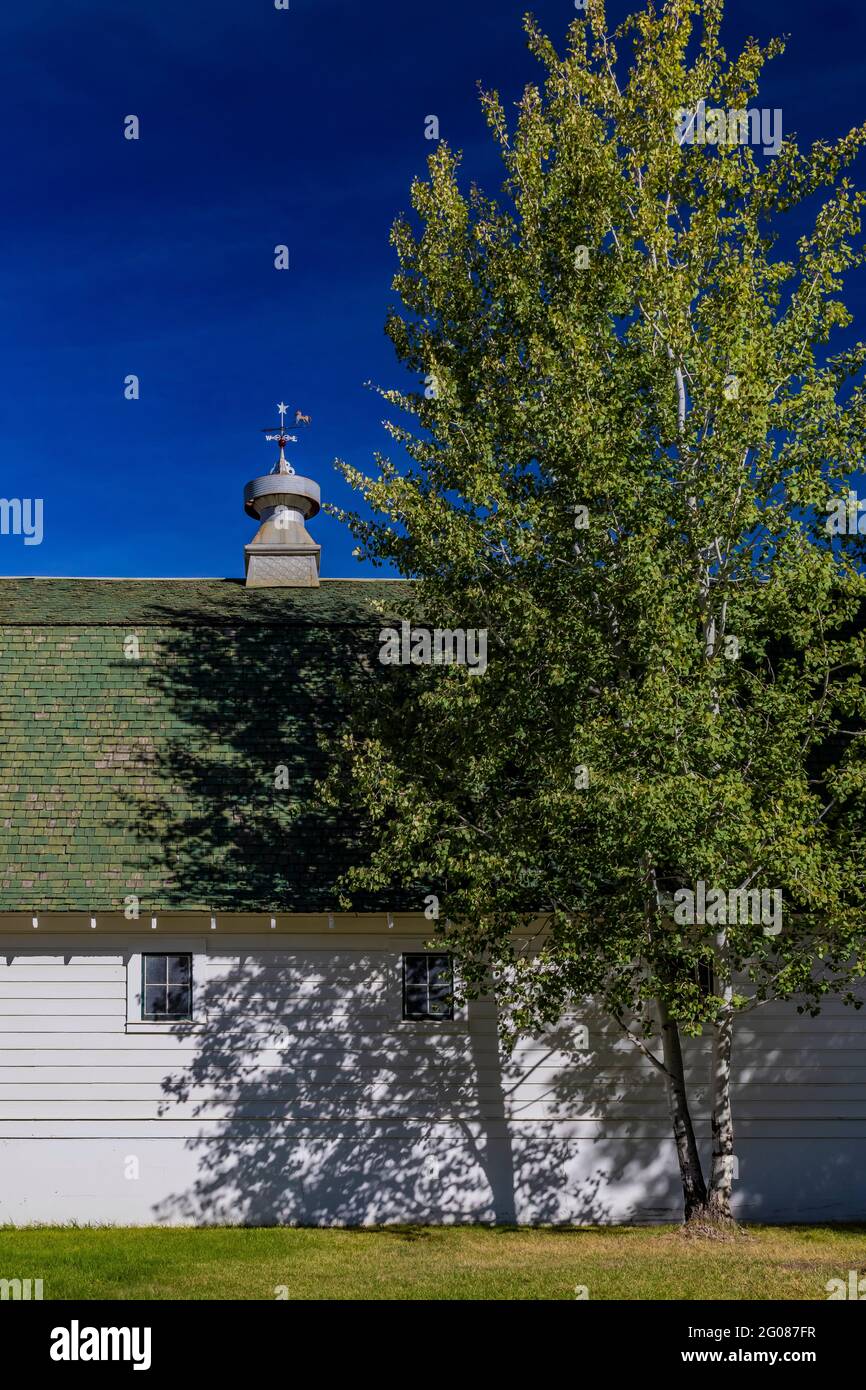 Horse and mule barn, reminiscent of a horse farm, built by the CCC at ...