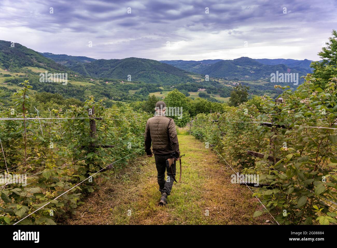 Man slowly walking hi-res stock photography and images - Alamy