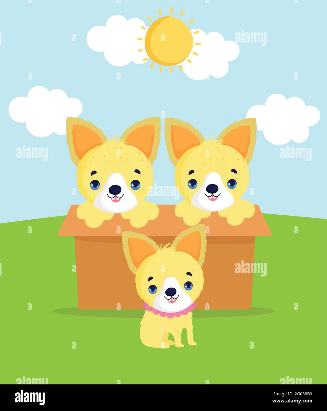 Adopt pets box hi-res stock photography and images - Alamy