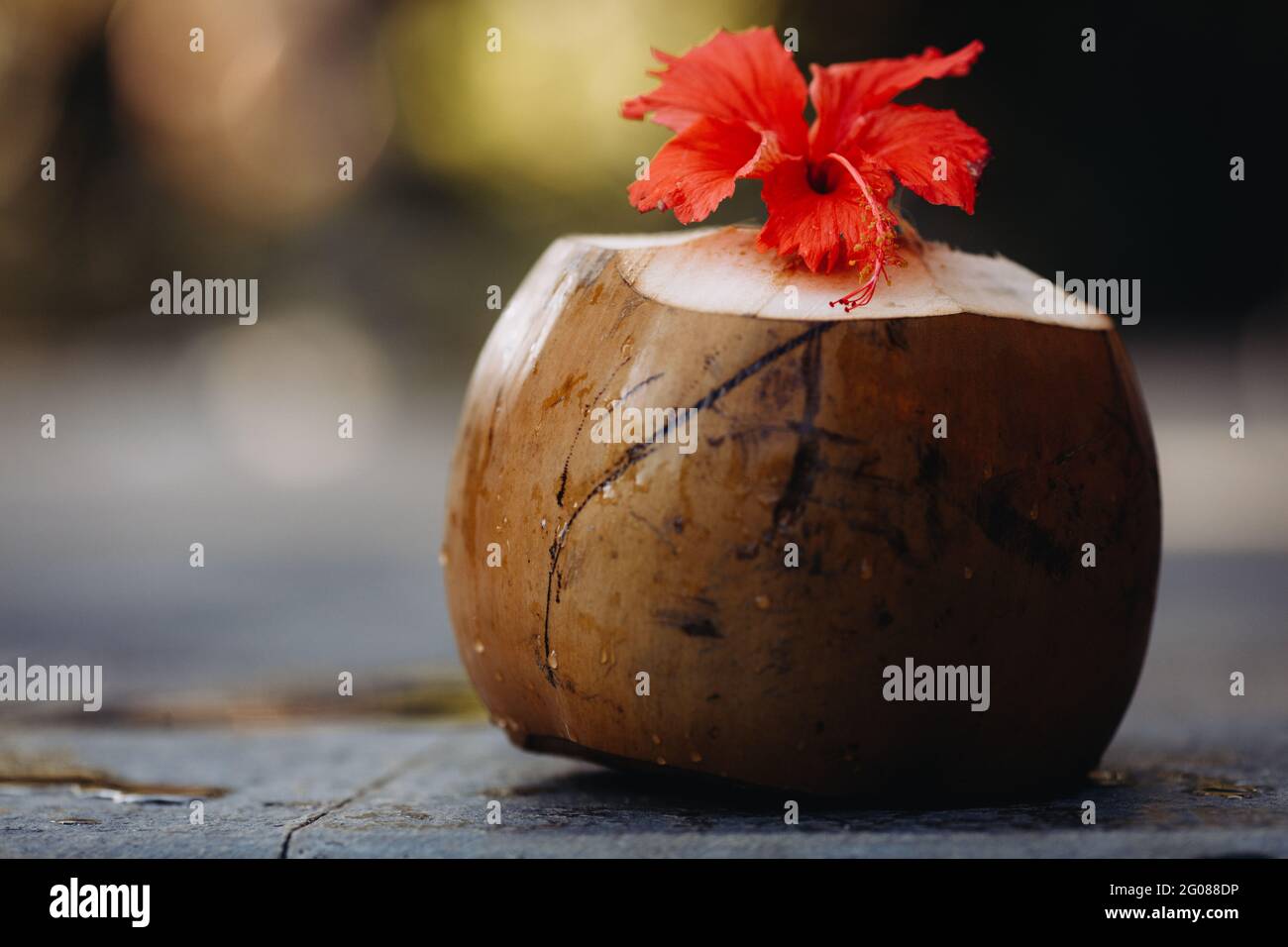 Coconut flower hi-res stock photography and images - Alamy