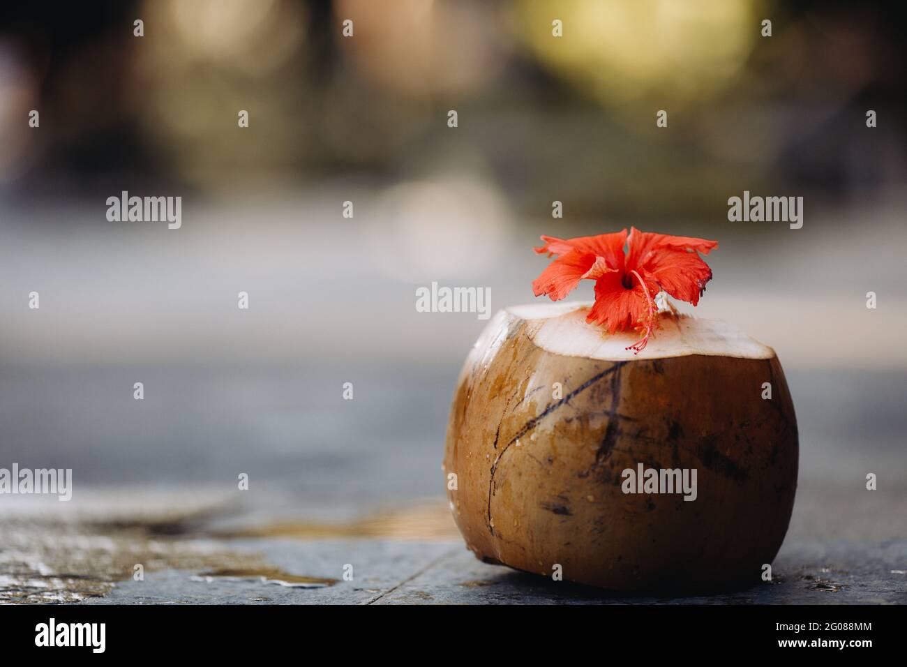 Fresh coconut with red tropical flower over blur background Stock Photo ...