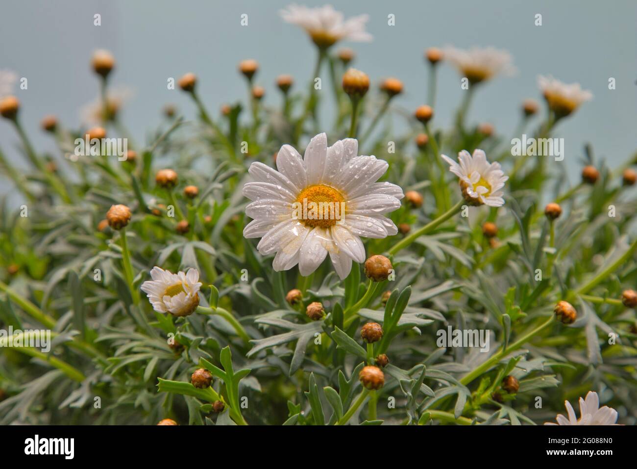 Close to the water hi-res stock photography and images - Alamy
